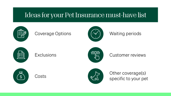 How to get pet insurance | What to know and do. | Homebody